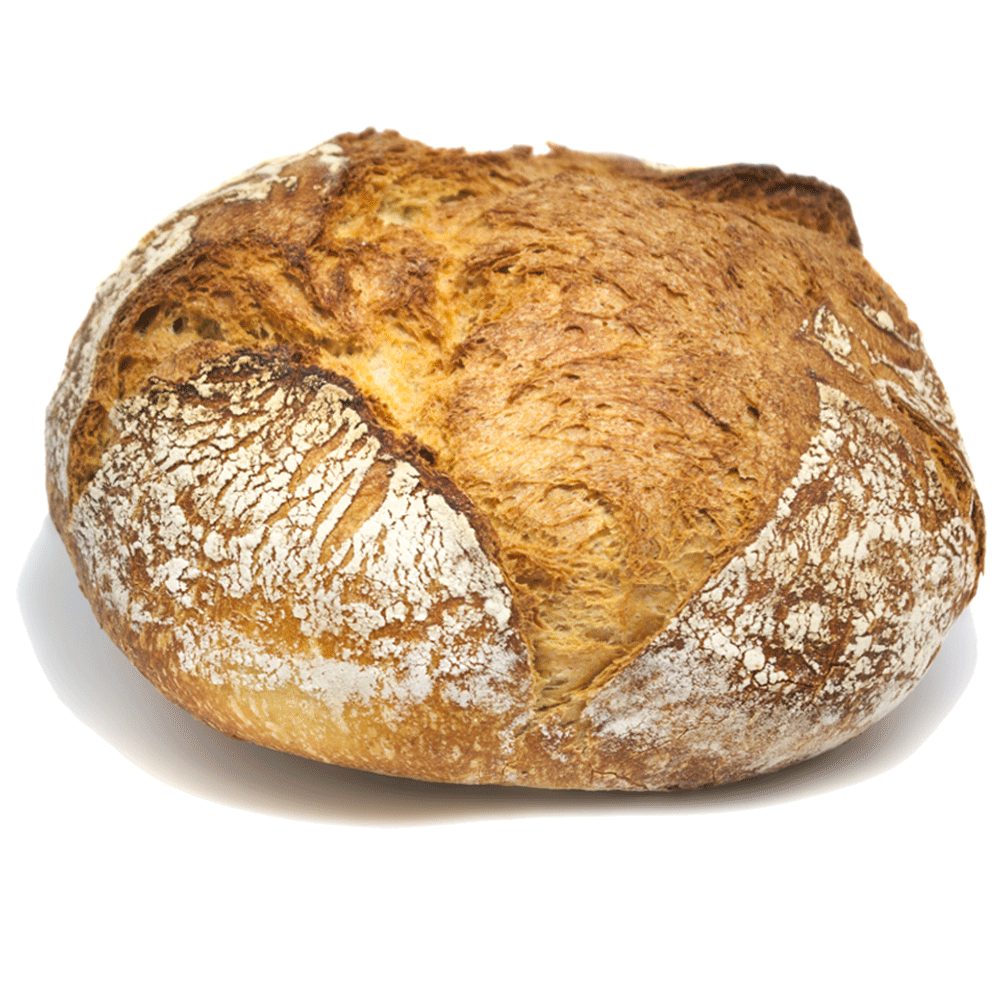 Pan Express - Masas, panes y repostería - Blog de Mª DOLORES GARCIA ...